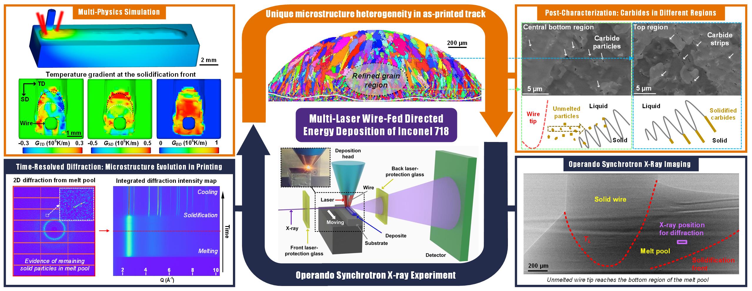 A Deeper Look Into Wire Laser Directed Energy Deposition Advanced Photon Source